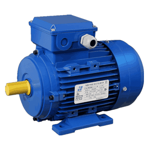 3 Phase Electric Motor Manufacturer - Export to Europe Since 1989